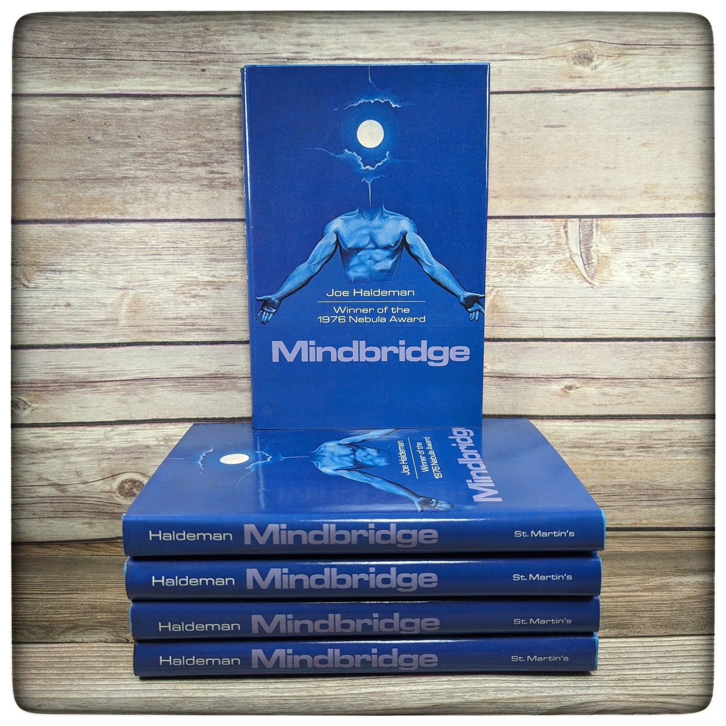 Mindbridge – HaldeCraft
