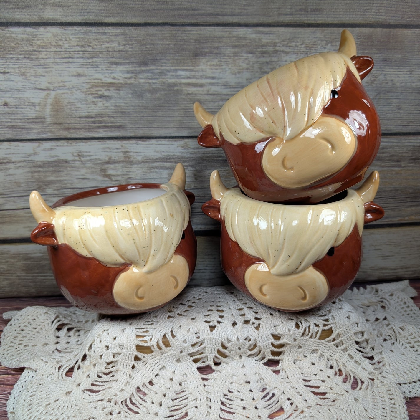 Highland Cow planter – HaldeCraft