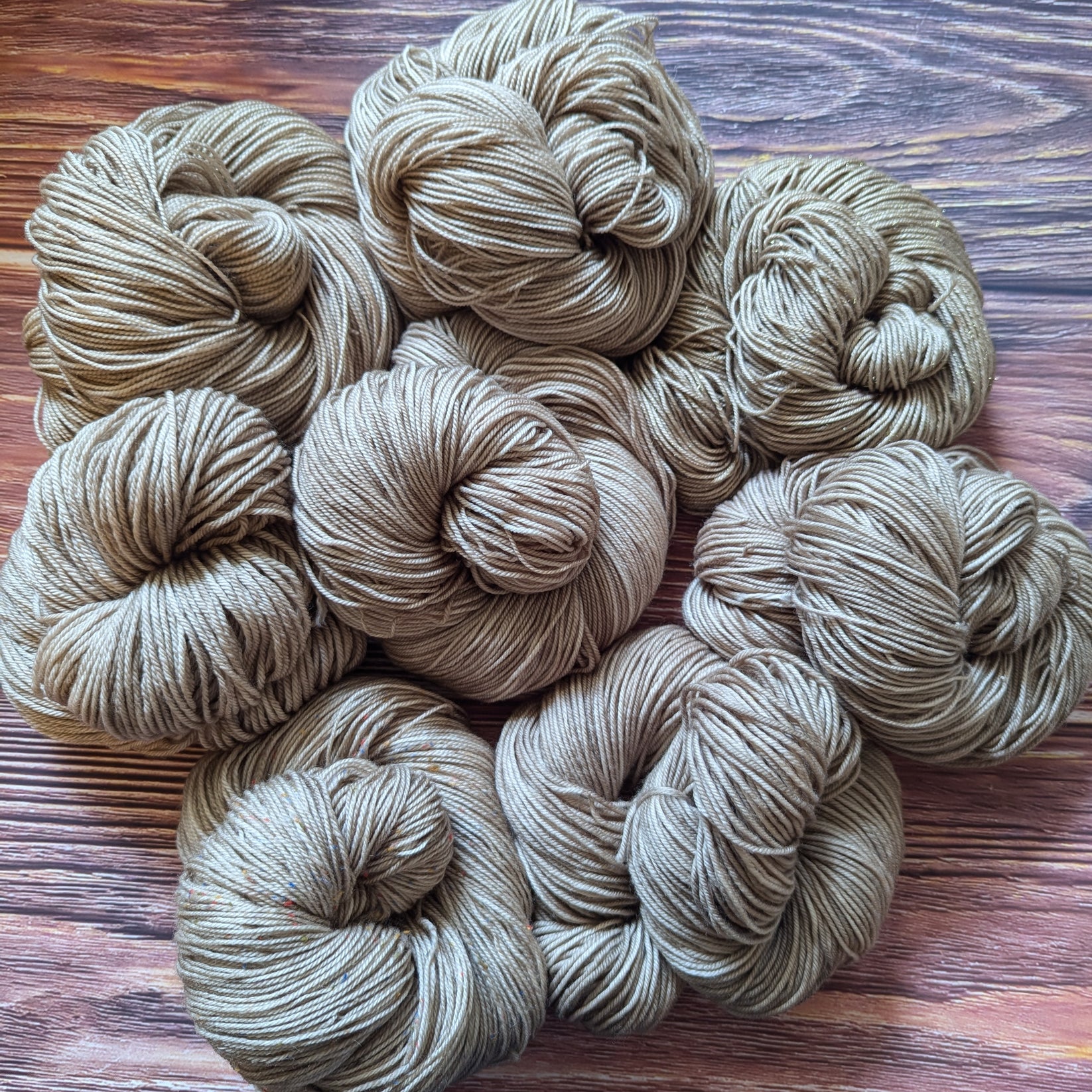 Gopher Tortoise – HaldeCraft