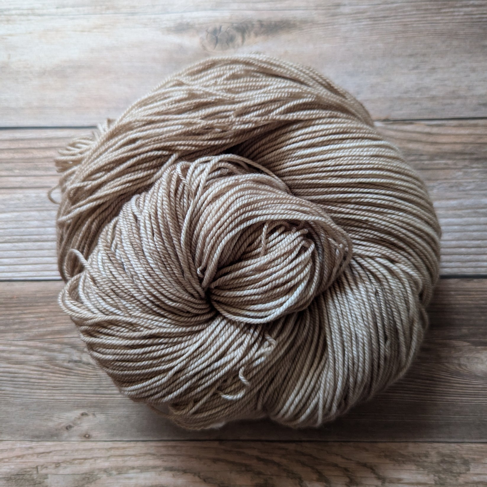 Gopher Tortoise – HaldeCraft